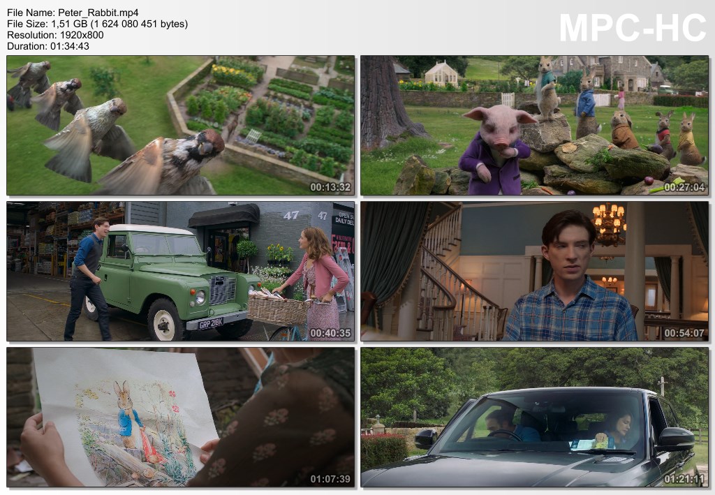 კურდღელი პიტერი / Peter Rabbit ქართულად